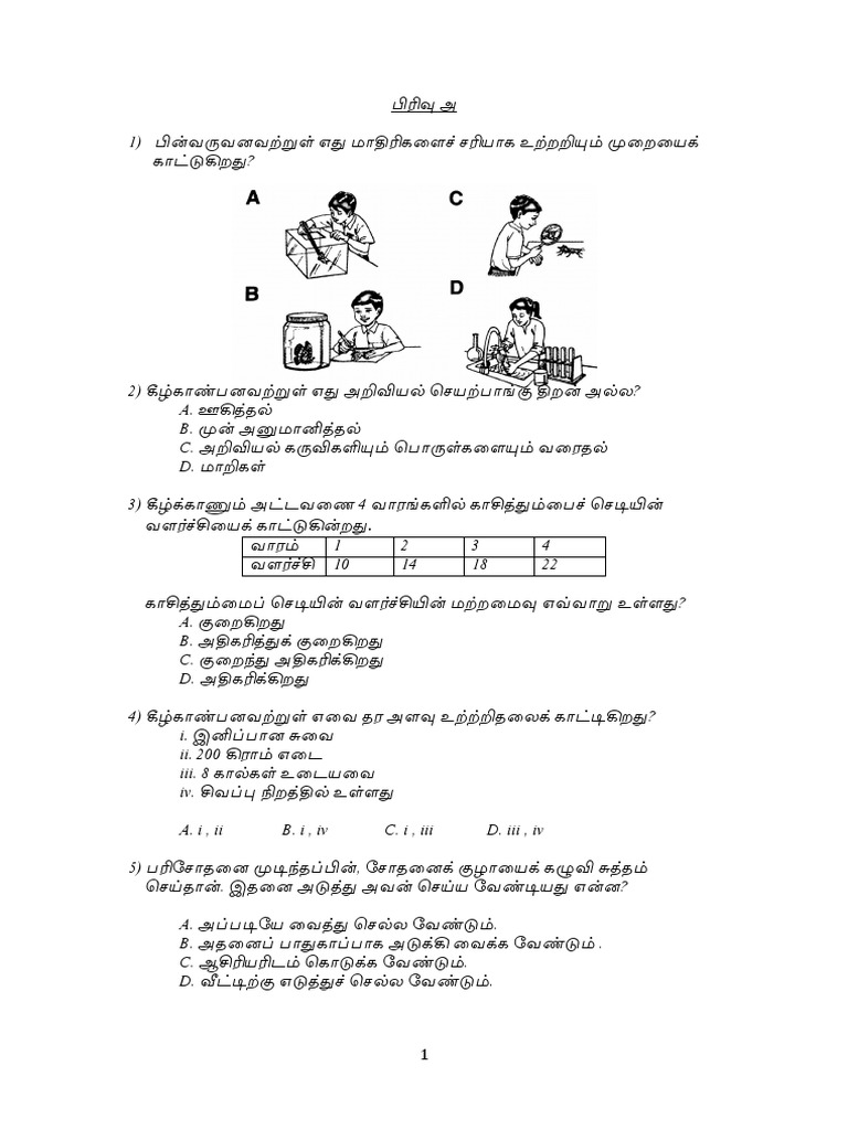 Sains Year 4 SJKT | PDF