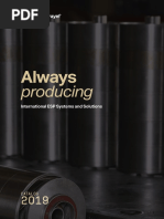 ESP Installation | PDF | Pipe (Fluid Conveyance) | Electrical Connector