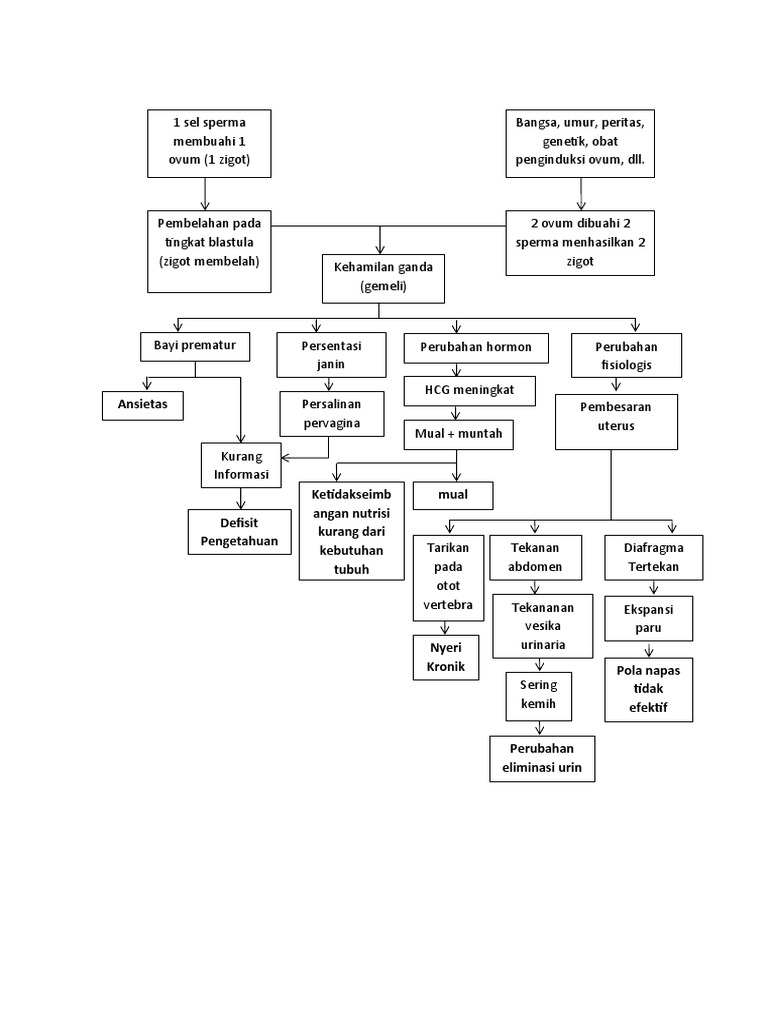 Pathway Gemeli | PDF