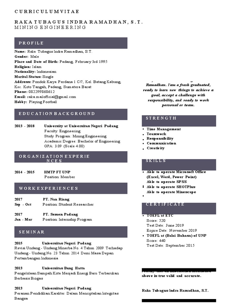 CV Raka Tubagus Indra Ramadhan | PDF | Cognition | Learning
