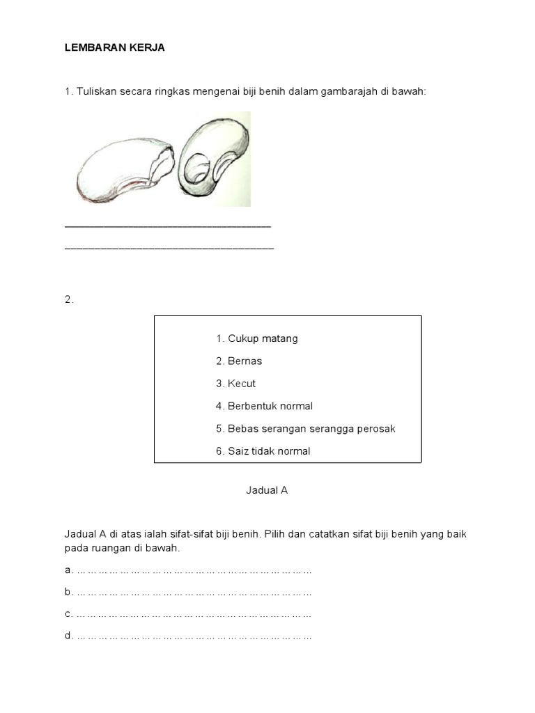 Lembaran Kerja RBT Tahun 5 | PDF