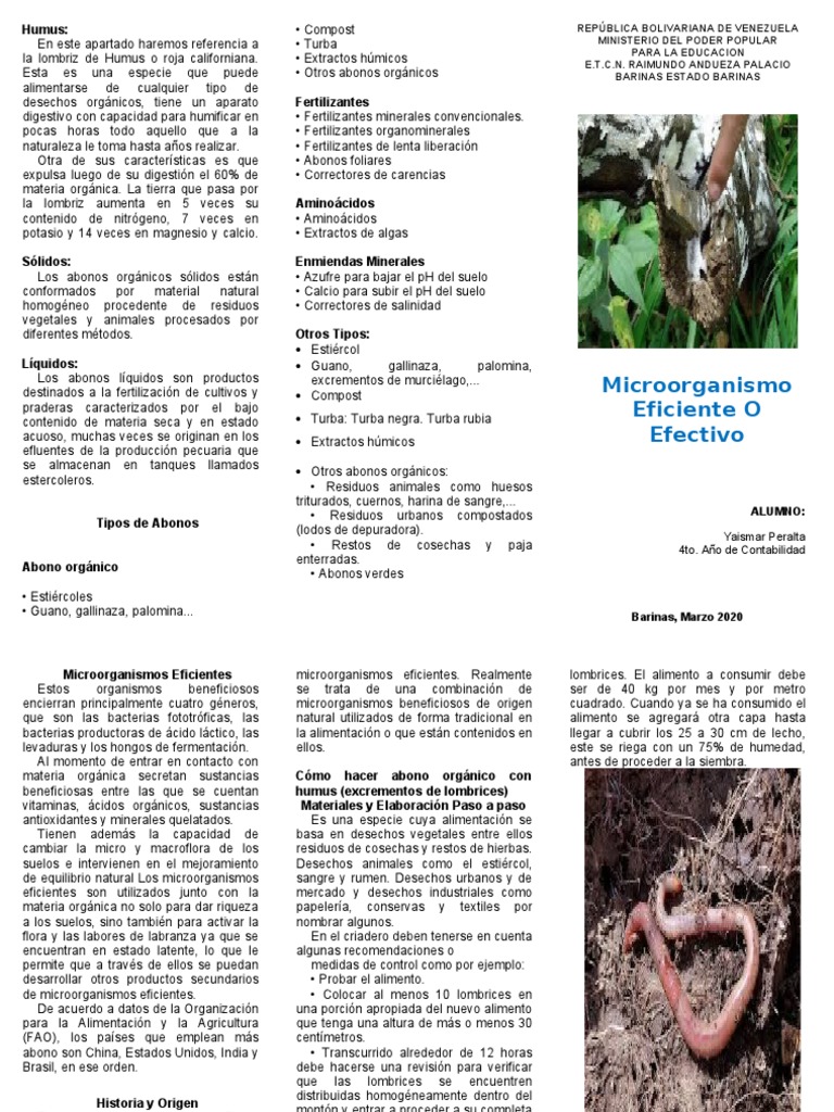 Triptico PRODUCCION DEL ABONO ORGÁNICO | PDF | Fertilizante | Compost