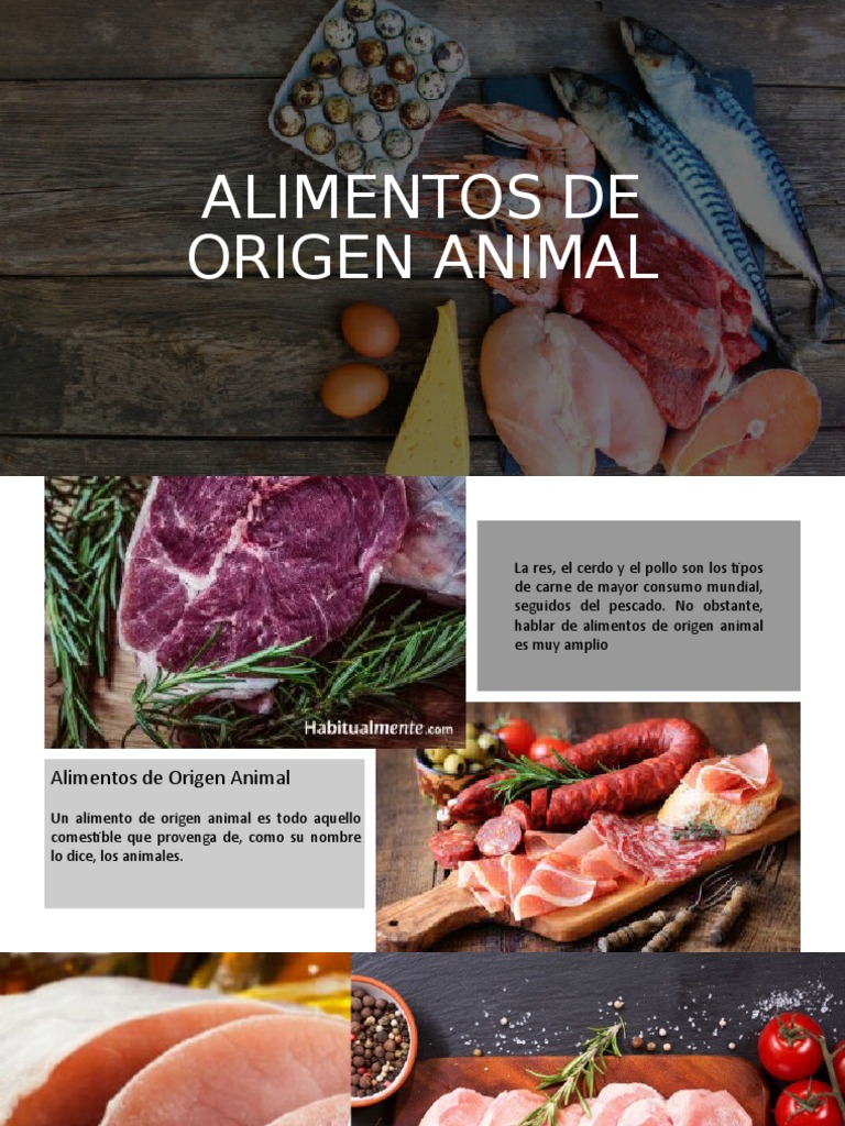 Alimentos de Origen Animal: Tipos y Clasificación | PDF | Leche | Carne