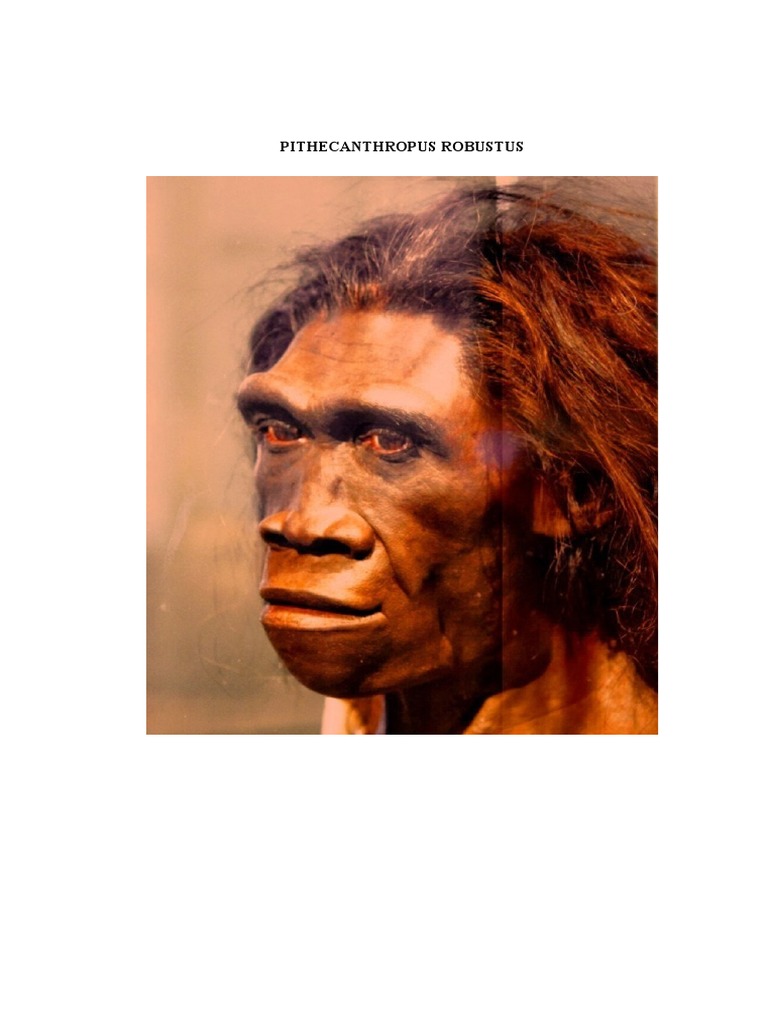Gambar Pithecanthropus Robustus | PDF