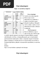 Meniu - Shaorma Socului Kebap | PDF