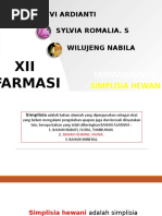 Sirupus Simplex | PDF