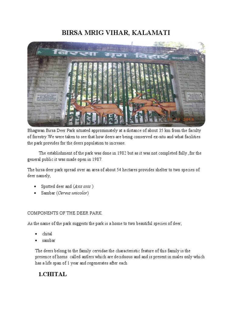 Birsa Mrig Vihar | PDF | Deer | Organisms