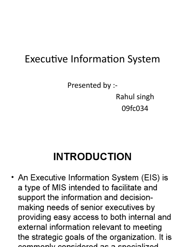 Executive Information System Overview | PDF