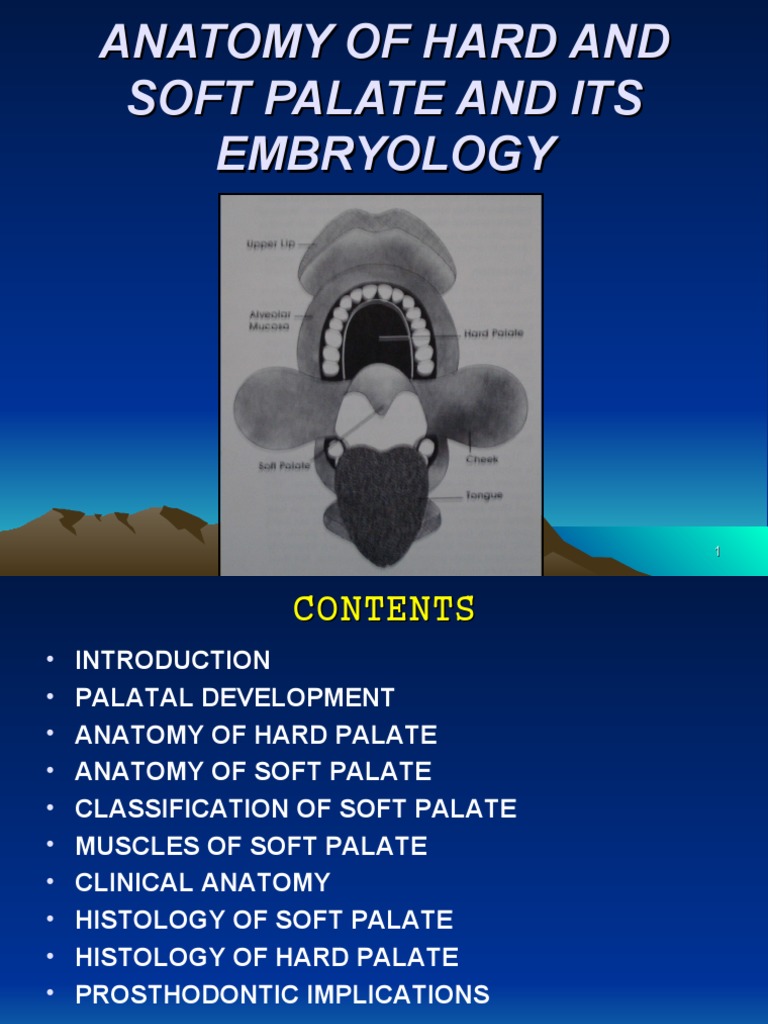 Anatomy and Development of the Palate | PDF | Human Nose | Mouth