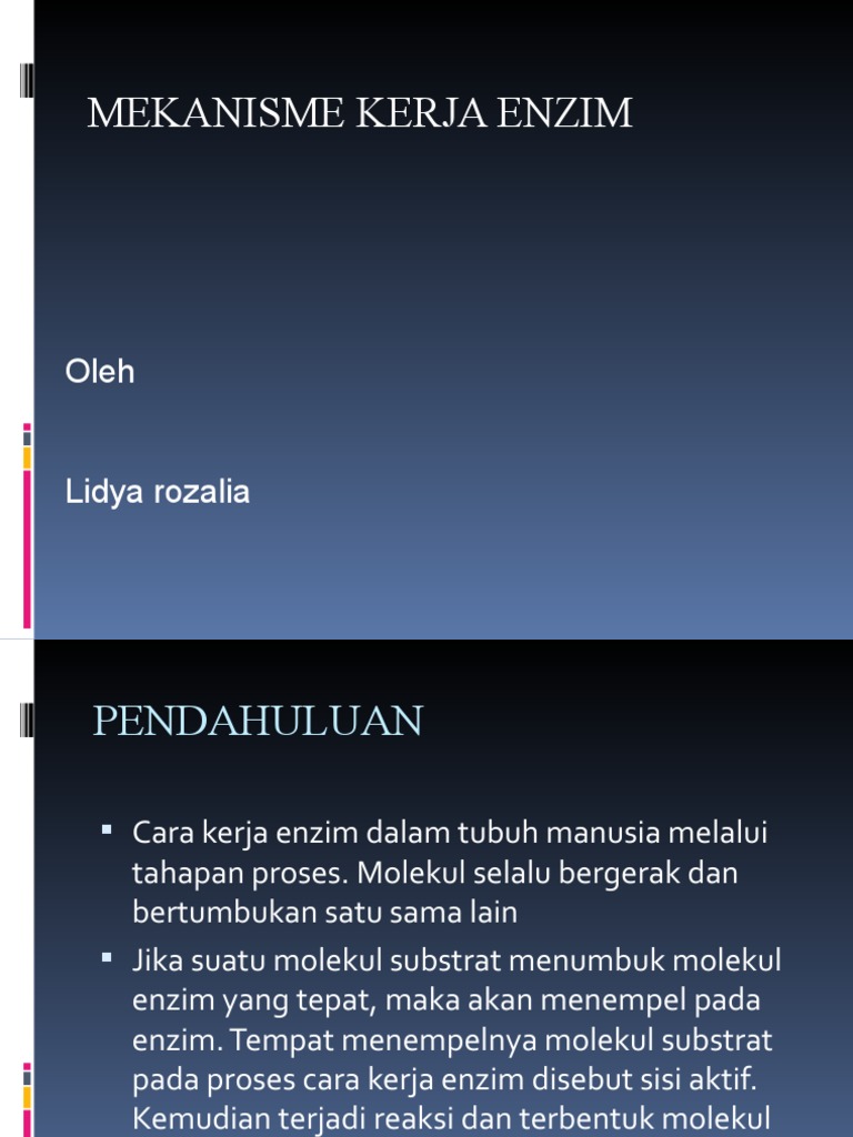 Mekanisme Kerja Enzim | PDF