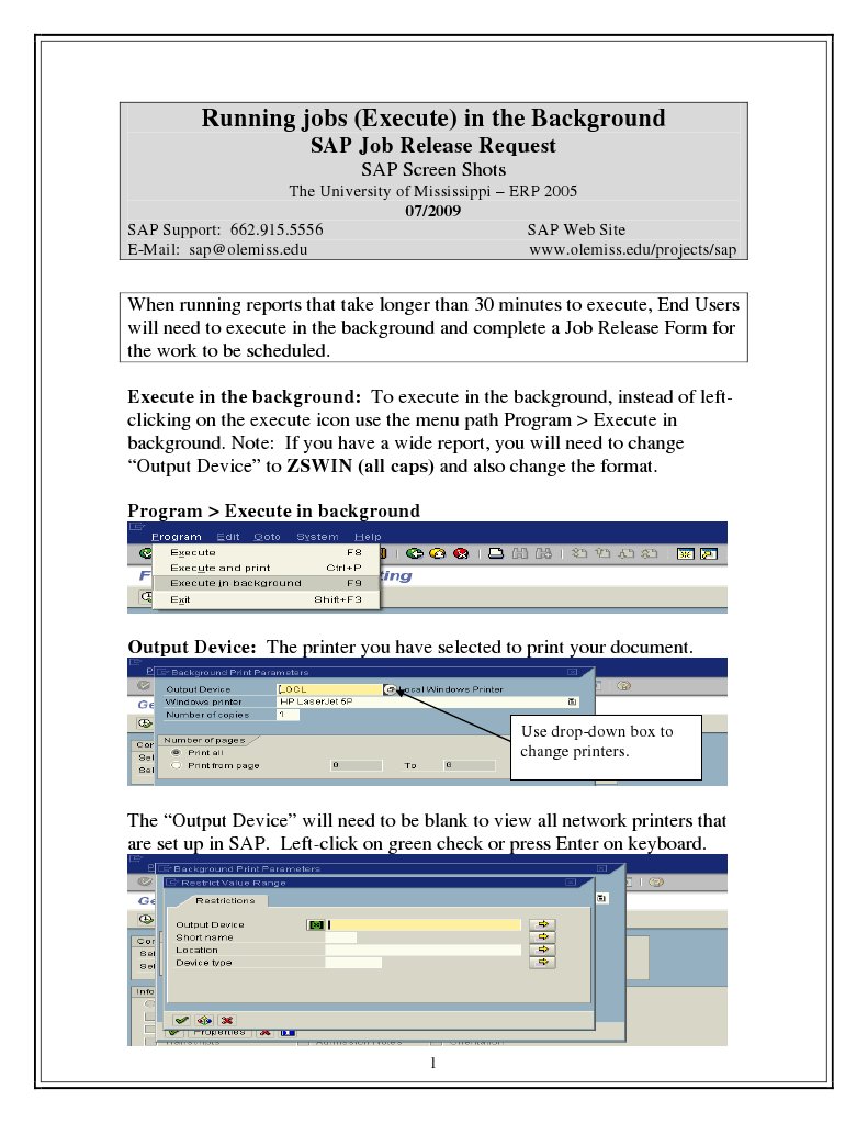 Execute Reports in Background | PDF | Icon (Computing) | Printer ...