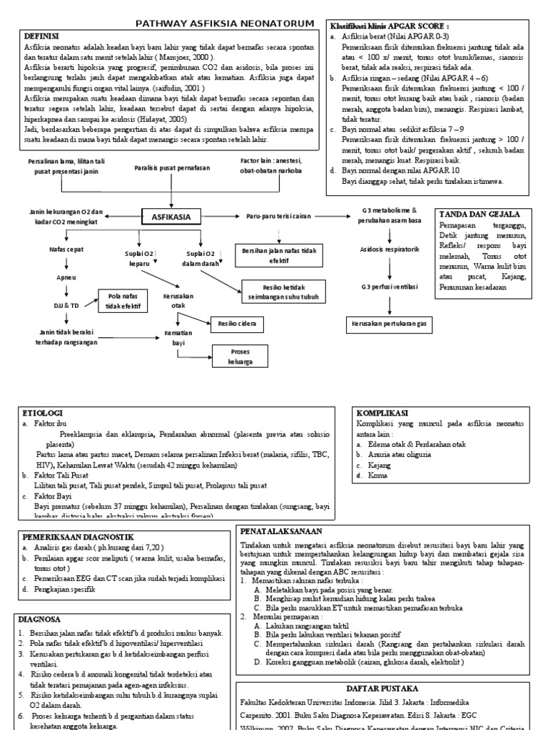 Pathway Asfiksia Neonatorum | PDF