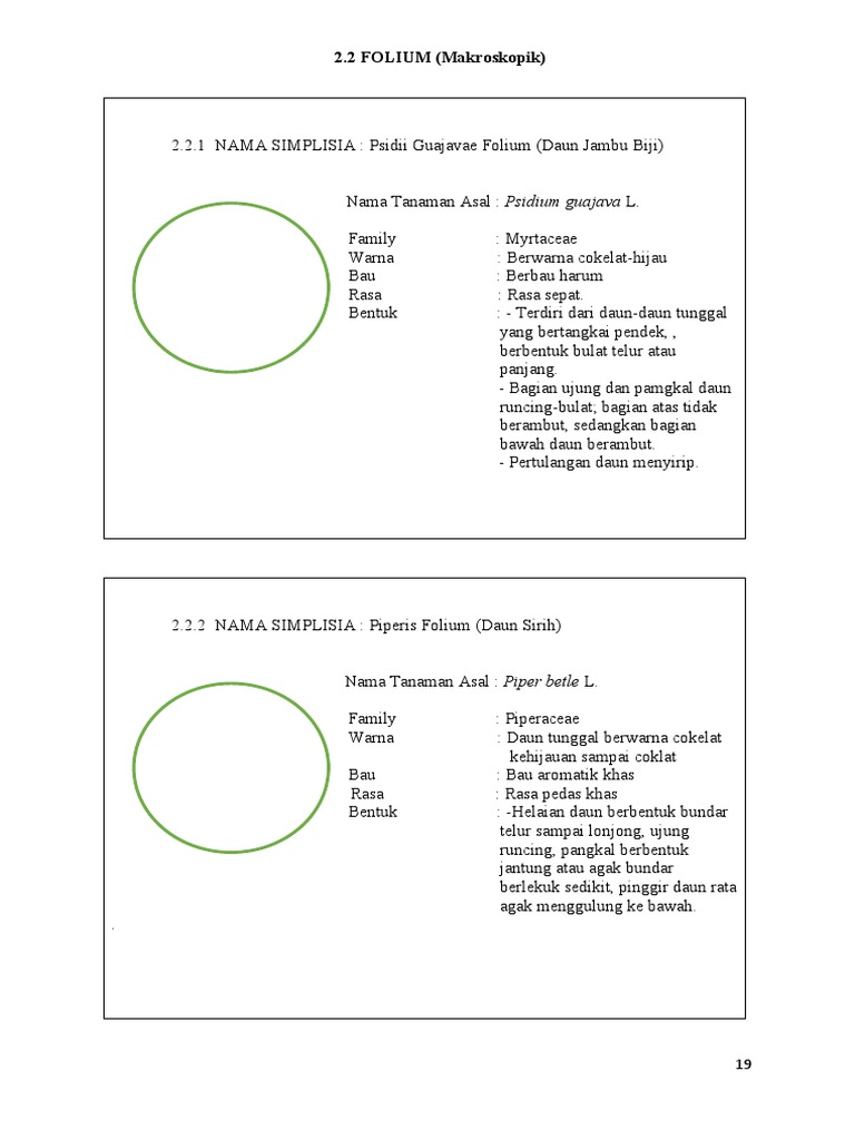 Karakteristik Piperis Folium | PDF | Sains & Matematika