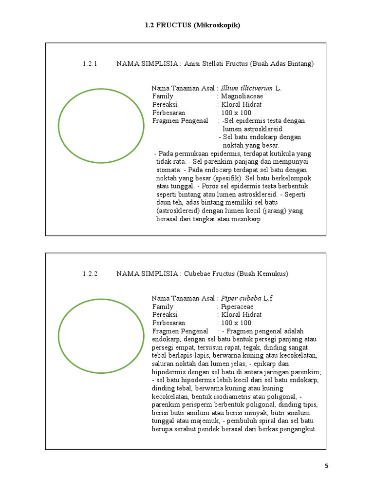 Fructus - Mikroskopik | PDF