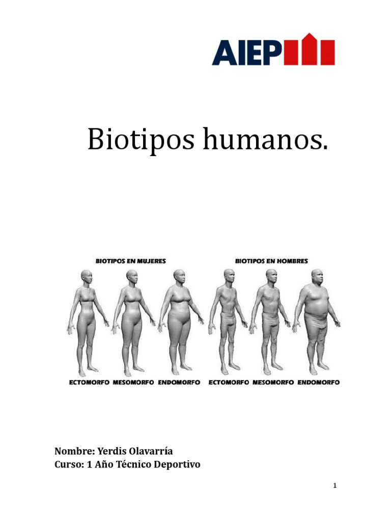 Biotipos Humanos Yerdis | PDF | Flexibilidad (anatomía) | Resistencia