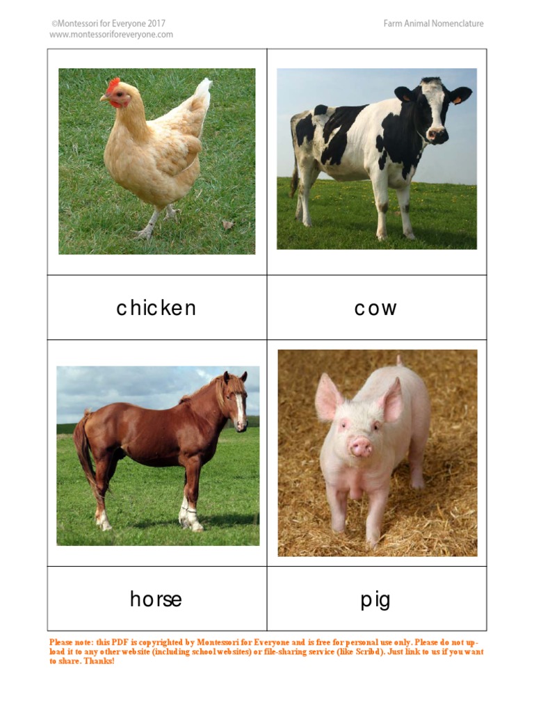 Farm Animal Nomenclature PDF | PDF