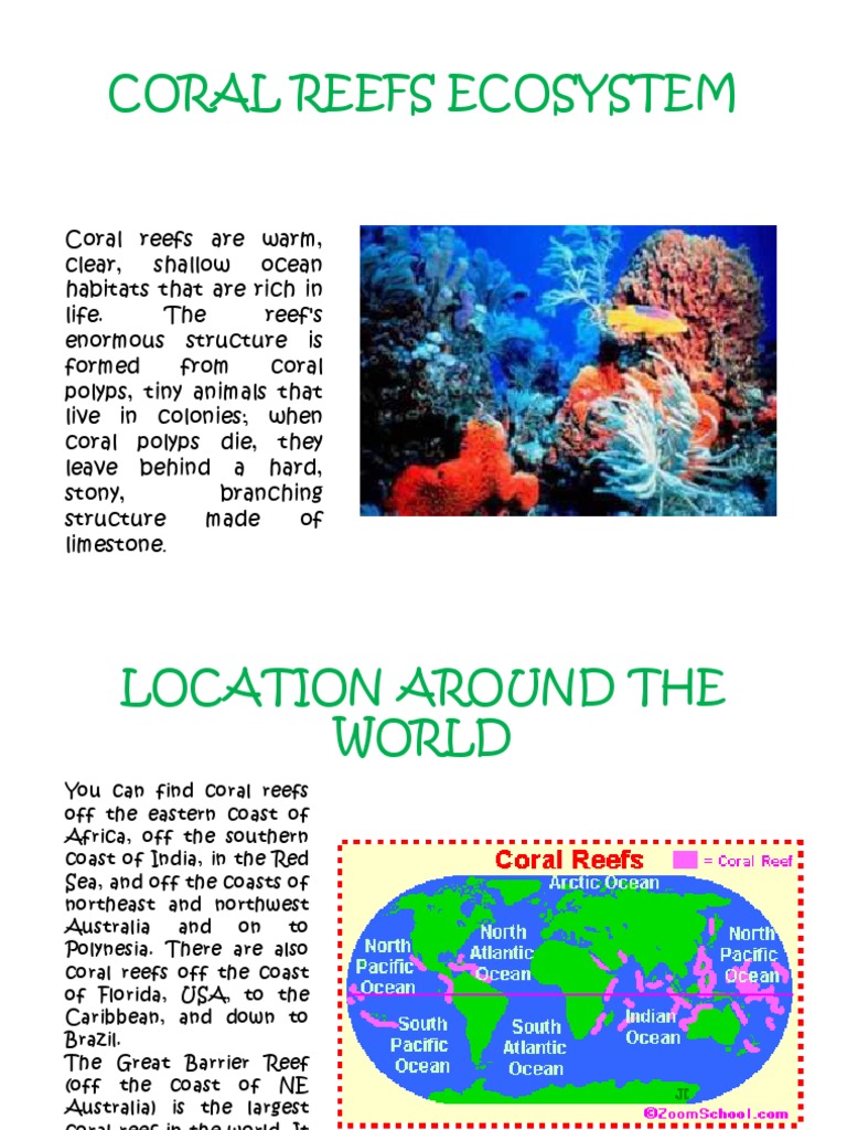 Coral Reefs Ecosystem | PDF | Coral Reef | Oceanography