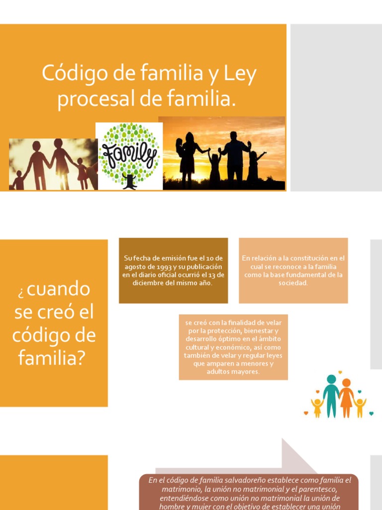 Código de Familia y Ley Procesal 1993 | PDF | Familia | Matrimonio