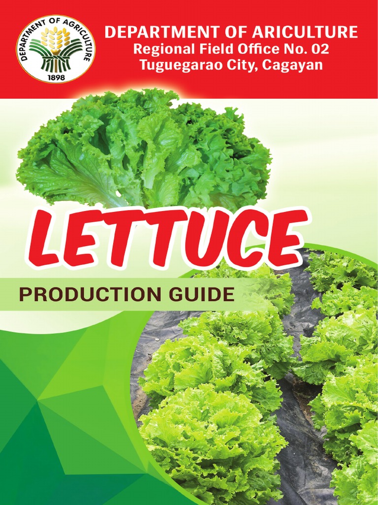 Lettuce | PDF | Lettuce | Mulch