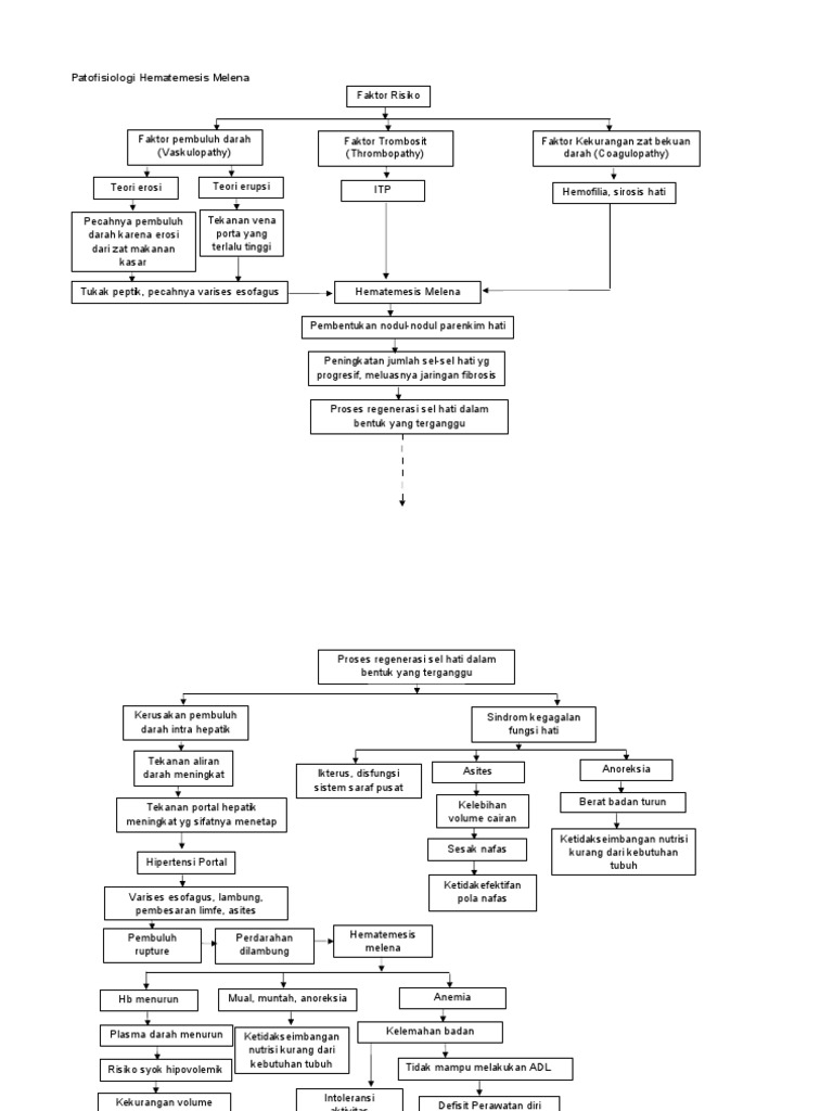 Patofisiologi Hematemesis Melena | PDF