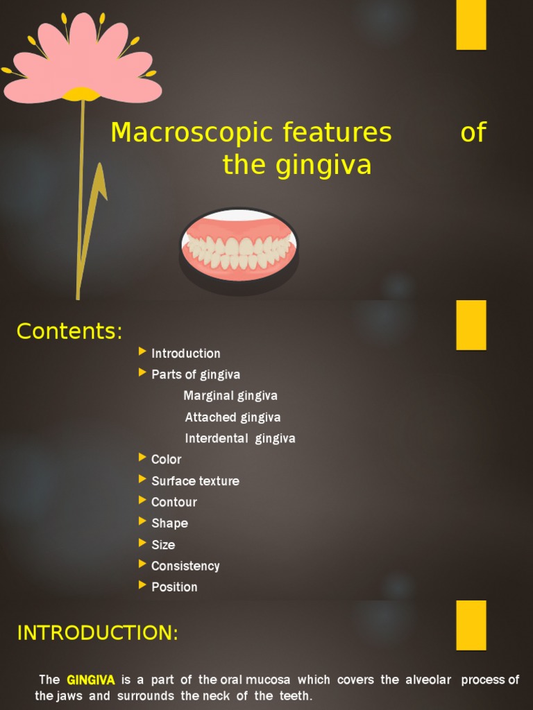 Macroscopic Features of Gingiva | PDF | Gingiva | Periodontology