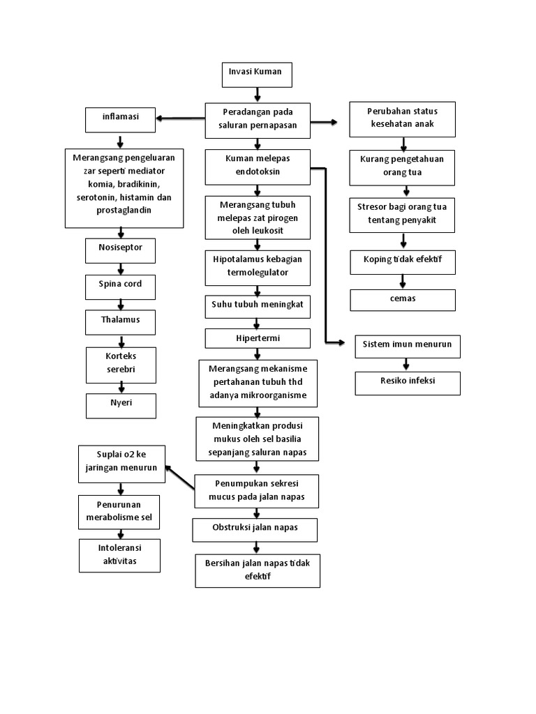 Patofisiologi Ispa | PDF