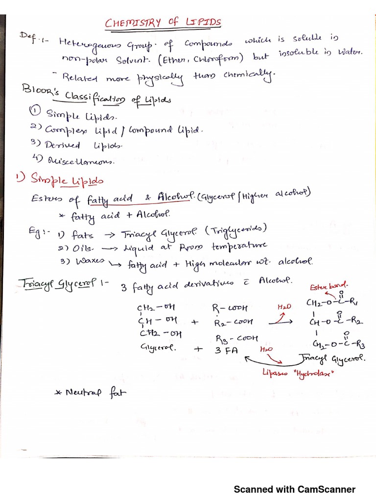 Marrow Biochemistry Notes PDF | PDF