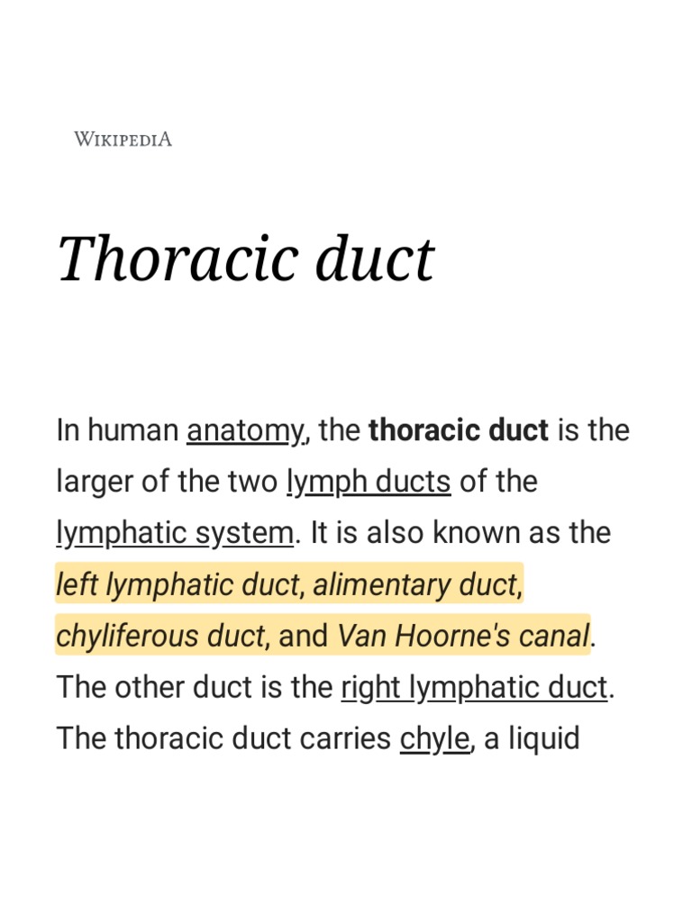 The Anatomy and Function of the Thoracic Duct, the Major Lymph Vessel ...