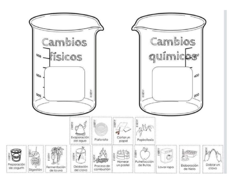 Cambios Fisicos y Quimicos