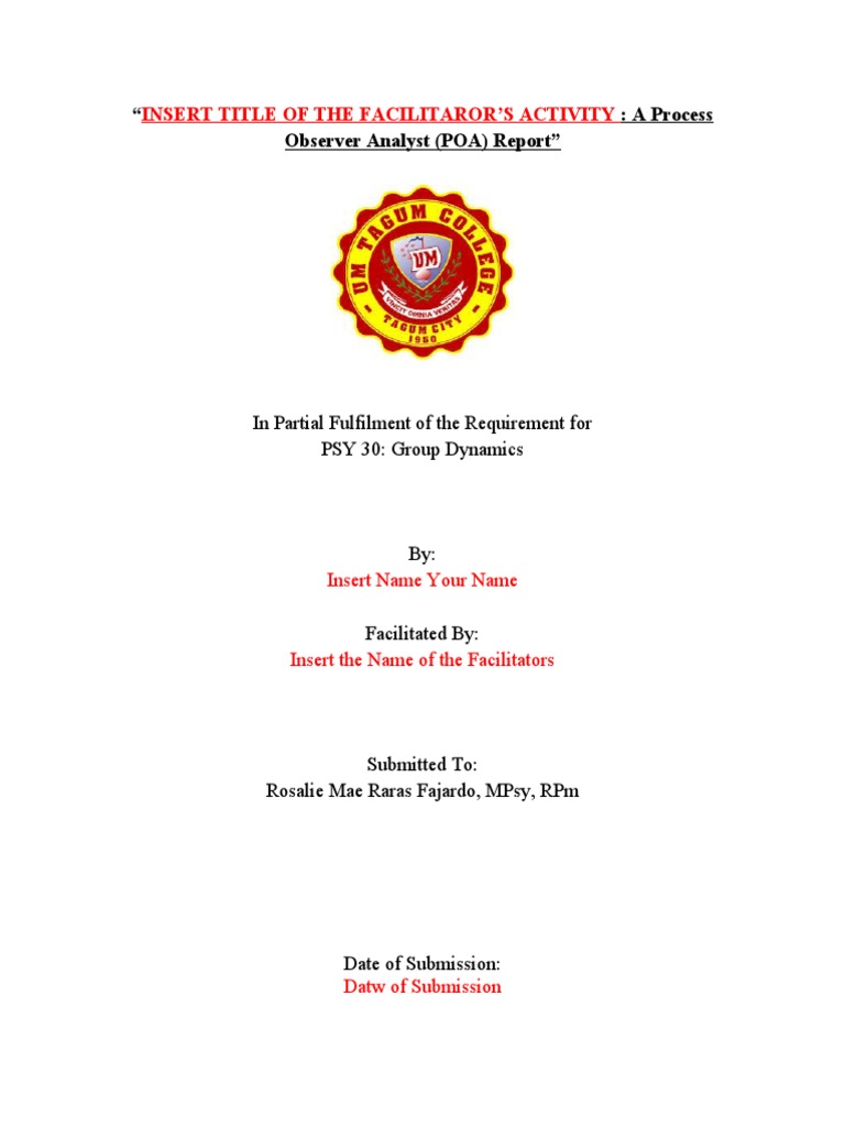 POA Report | PDF | Facilitator | Nonverbal Communication