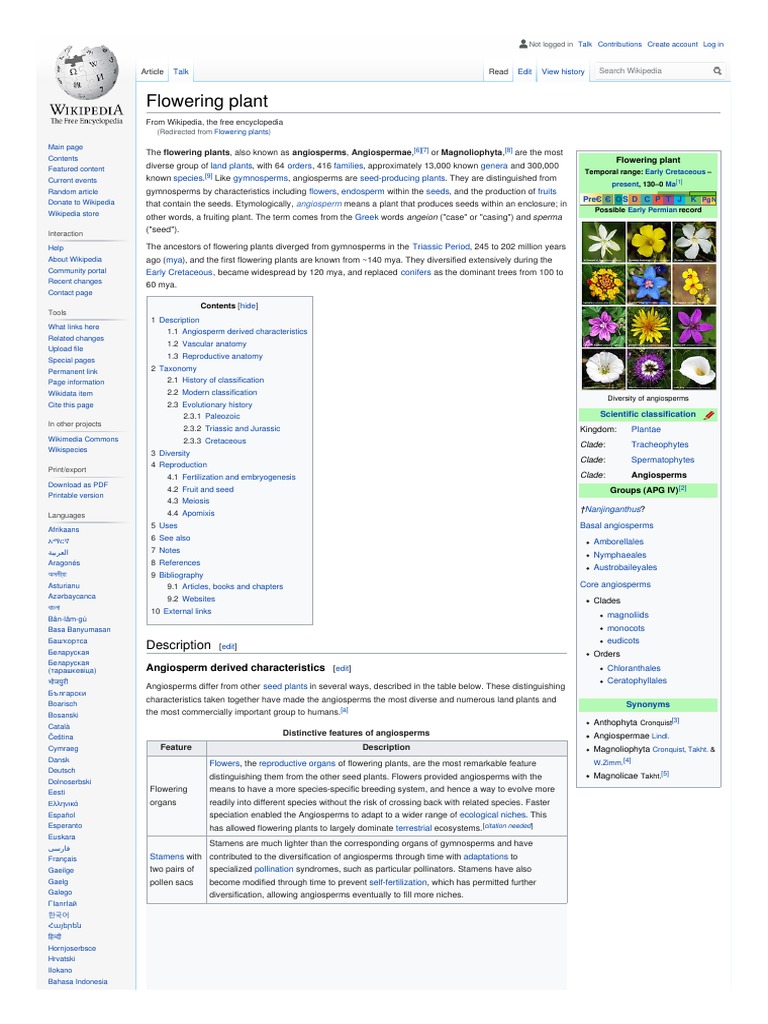 Flowering Plants | PDF | Flowers | Plant Stem