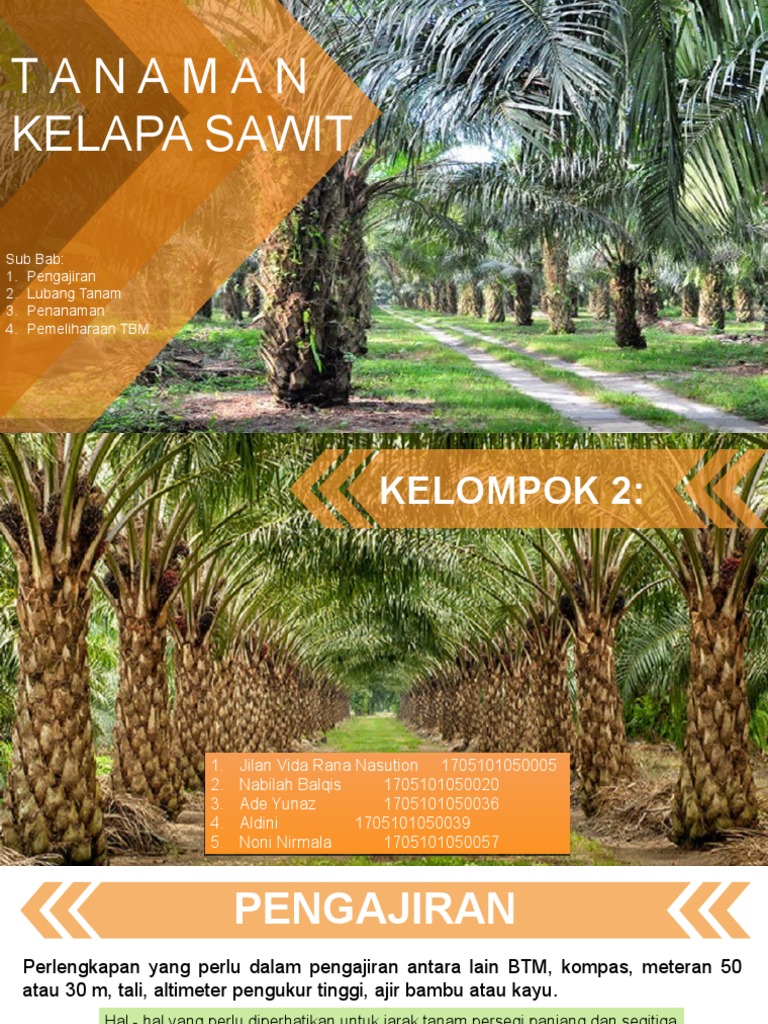 Perkebunan | PDF