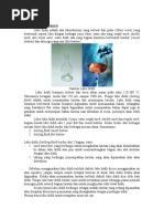 Fungsi Batu Didih | PDF | Sains & Matematika