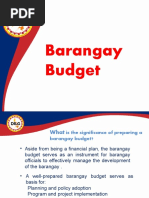 LGU Budget Process | PDF | Veto | Budget