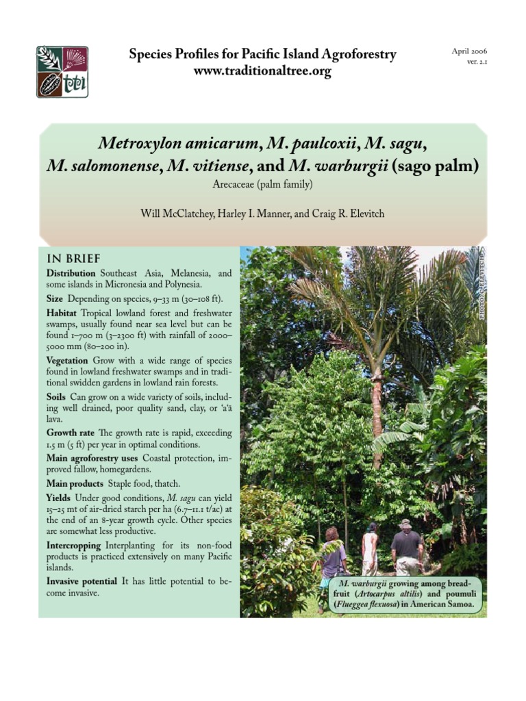 Metroxylon Amicarum, M. Paulcoxii, M. Sagu, M. Salomonense, M. Vitiense ...