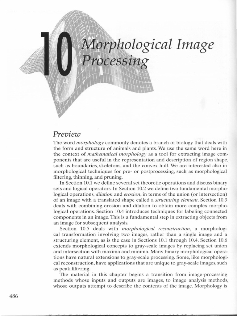 Morphological Image Processing in MATLAB | PDF | Function (Mathematics ...