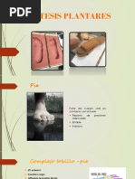 Pie Talo, Pie Varo, Valgo, y Pie Plano | PDF | Pie | Tobillo