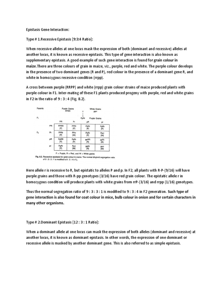 Epistasis Gene-WPS Office | PDF | Dominance (Genetics) | Allele