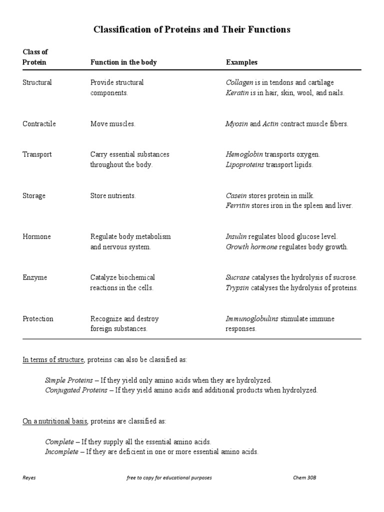 Classification of Proteins and Their Functions PDF | PDF | Hydrolysis ...