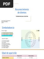 1 Region Superciliar | PDF | Cráneo | Anatomía humana