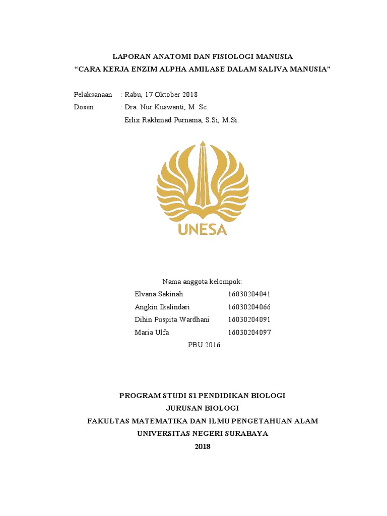 Lapres Amilase | PDF