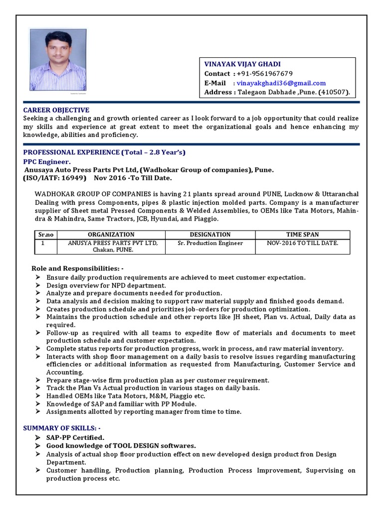 Vinayak CV - Desg | PDF | Inventory | Business