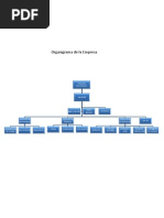 Organigrama Ternium | PDF