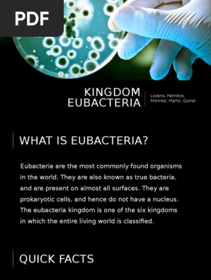 Information On Eubacteria