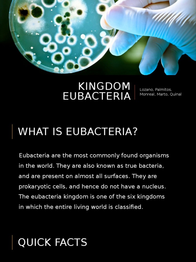 Images Of Eubacteria