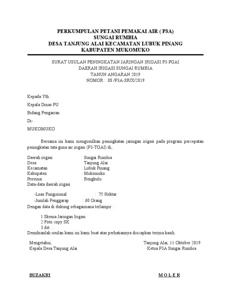 Surat Usulan P3a 2019 | PDF