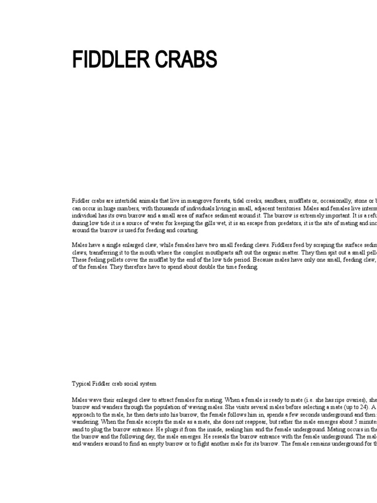 Fiddler Crab | PDF | Crab | Natural Selection