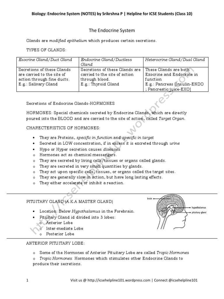 Biology Endocrine System Notes Compiled by Srikrshna p1 PDF | PDF ...