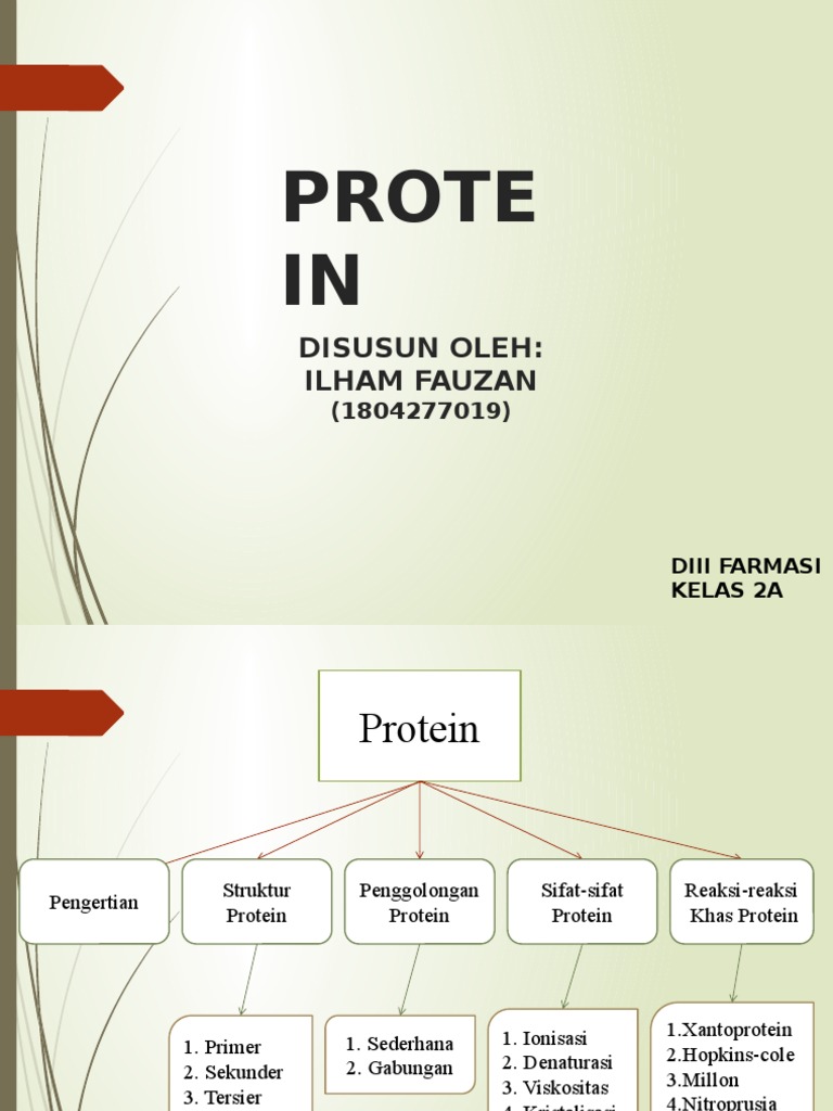 Biokimia Protein | PDF