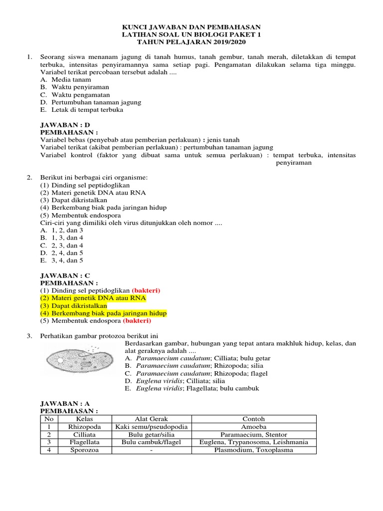 KUNCI JAWAB DAN PEMBAHASAN LATIHAN SOAL UN BIOLOGI Paket 1 PDF | PDF | Kajian Bahasa Asing ...